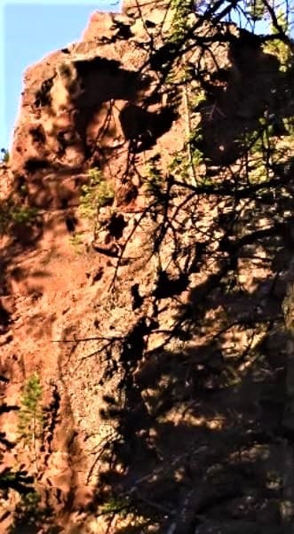 Grand Canyon of Yellowstone: A Must-See Destination