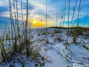 Forgotten Coast Florida: A Traveler's Paradise - Travel The Parks