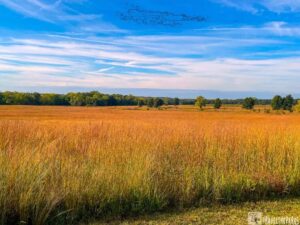 Trip To Prophetstown State Park: Your Guide - Travel The Parks