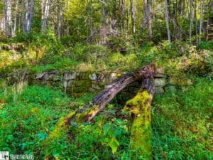 Nuttallburg New River Gorge: A Hidden Gem - Travel The Parks