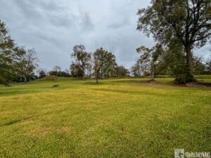 Natchez: A Unique Blend of History and Southern Charm - Travel The Parks