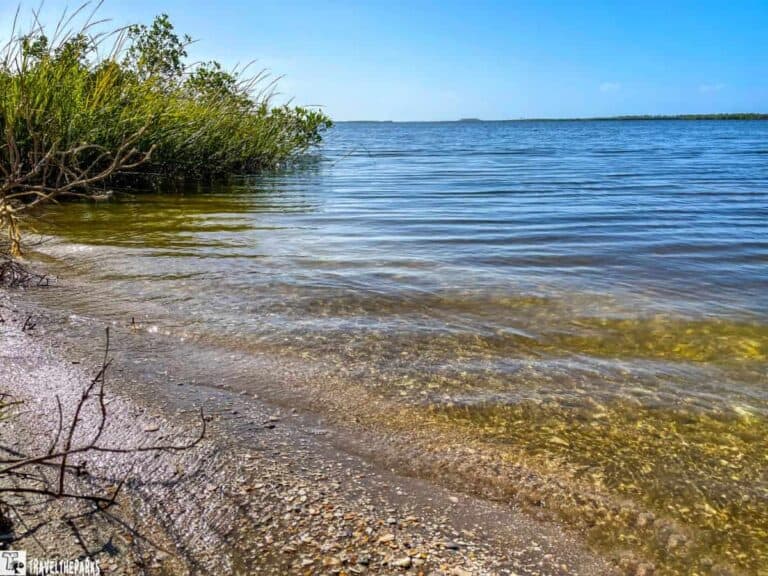 Merritt Island National Wildlife Refuge: What You Need to Know - Travel ...