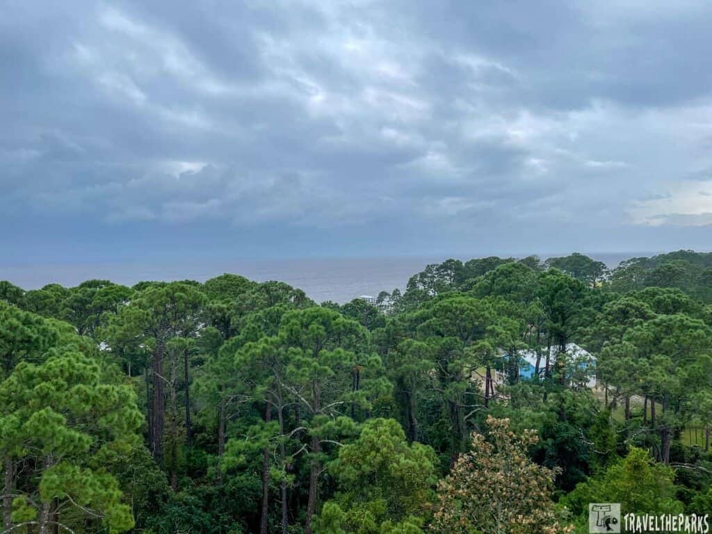Forgotten Coast Florida: A Traveler's Paradise - Travel The Parks