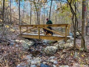 Guide to Lake Catherine State Park Activities - Travel The Parks