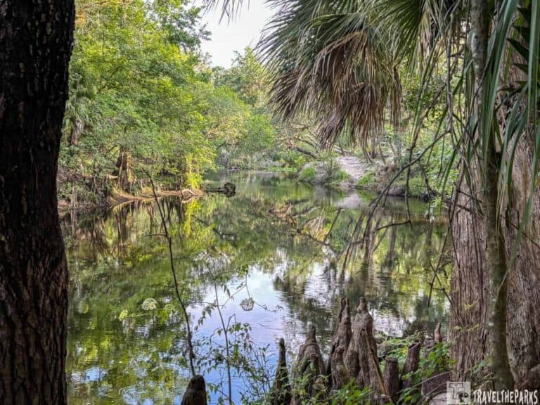 Hillsborough River State Park: Adventure Awaits You - Travel The Parks