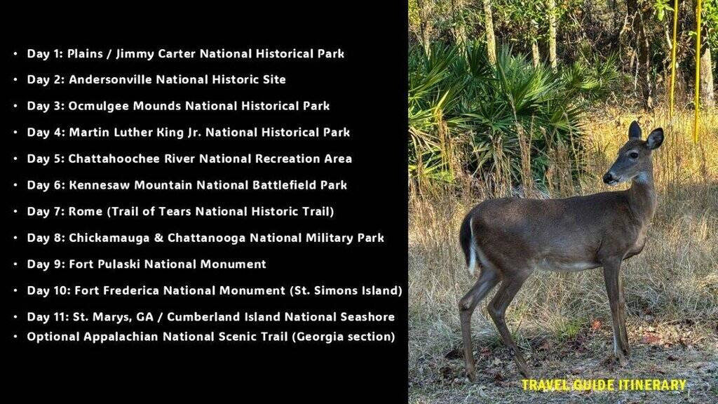 Georgia National Park Road Trip: Guide to Adventure - Travel The Parks