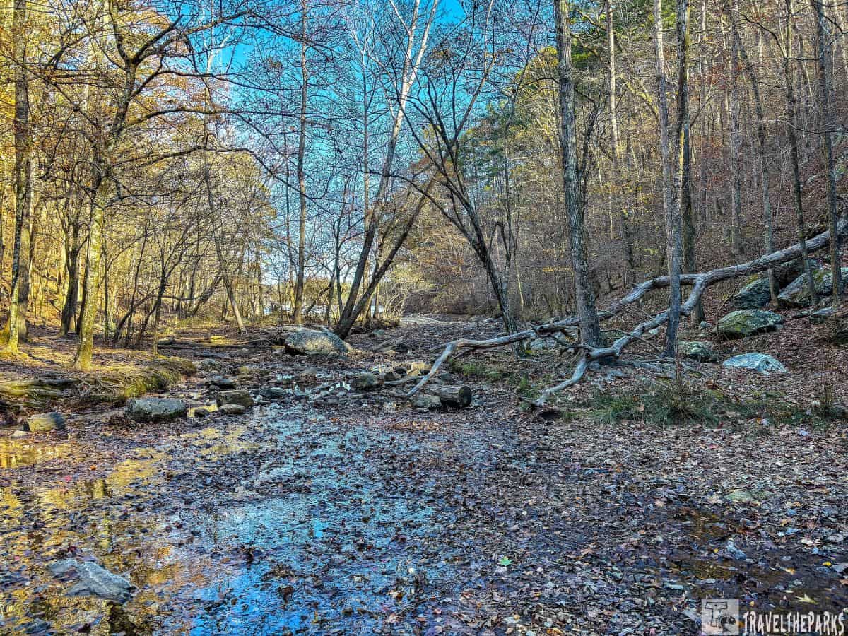 Guide to Lake Catherine State Park Activities - Travel The Parks