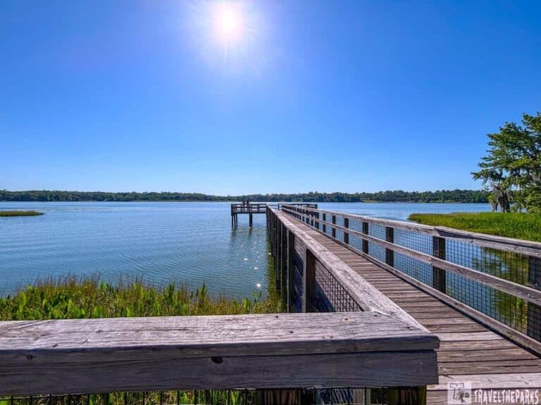 Paynes Prairie Preserve State Park: Must-See Attractions - Travel The Parks