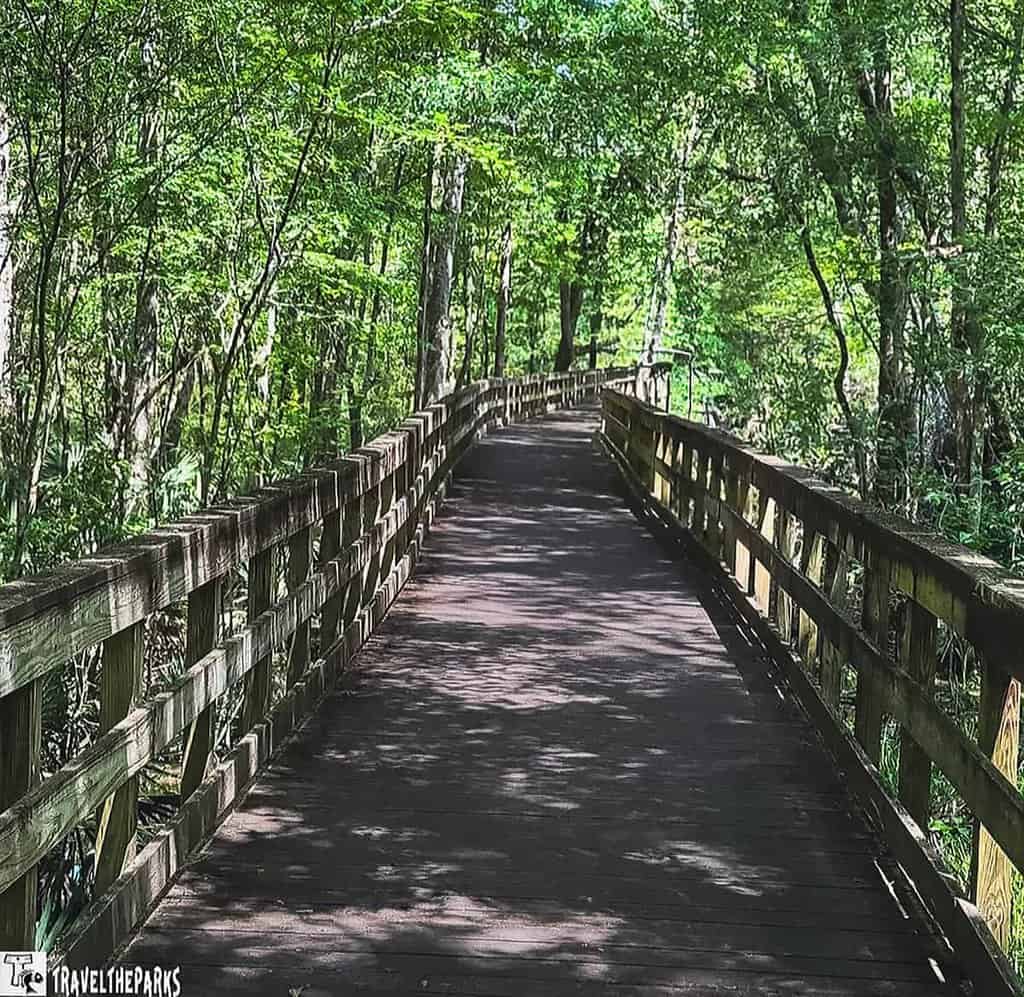 Reed Bingham State Park: A Hidden Gem in Georgia - Travel The Parks