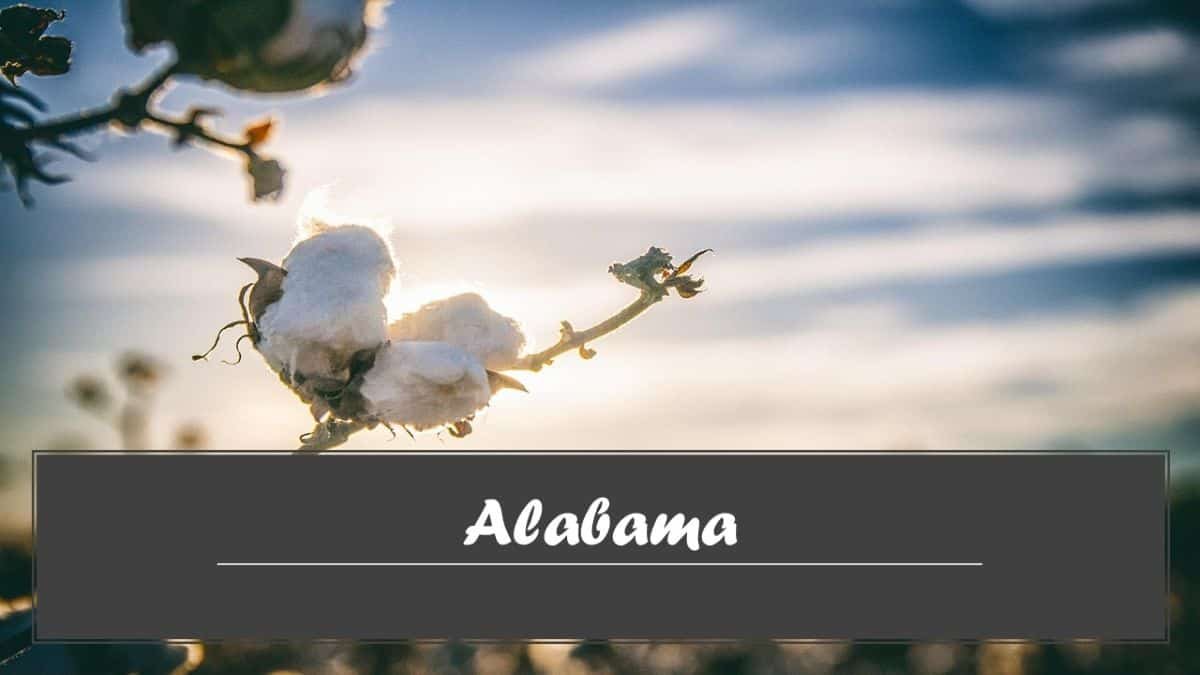 State Destinations We Have Visited: Beyond National Parks - Travel The ...